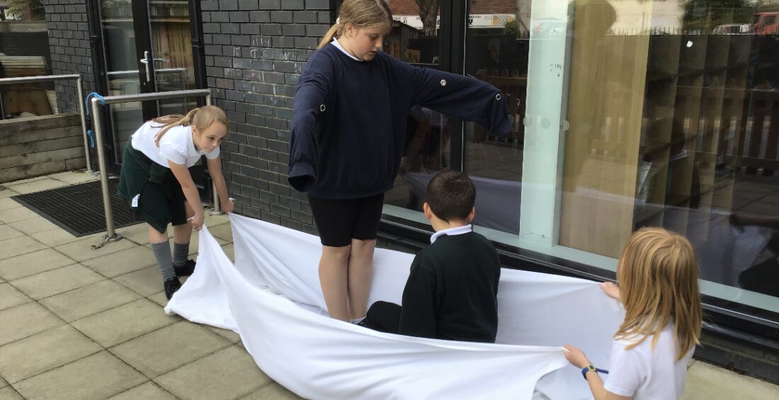 Year 5 Investigating Forces - Millbay Academy