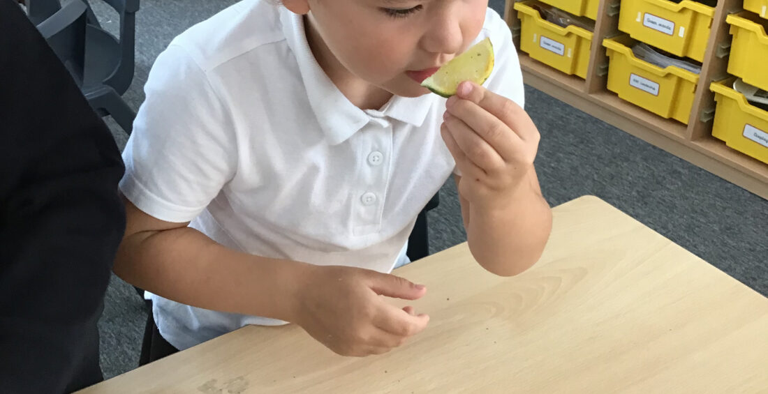 Year 1 Explore their senses in Science! - Millbay Academy